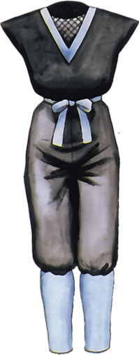 Ninja Garb - Gensopedia